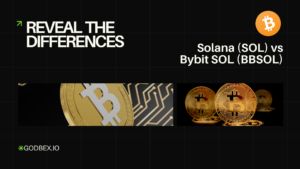 Reveal The Differences: Solana (SOL) vs Bybit SOL (BBSOL) | godbex.io